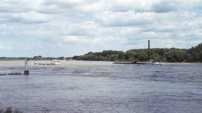 Home | Gemeente Lingewaard